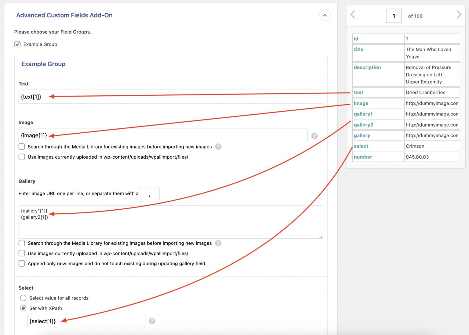 How to Import Advanced Custom Fields (ACF) - WP All Import