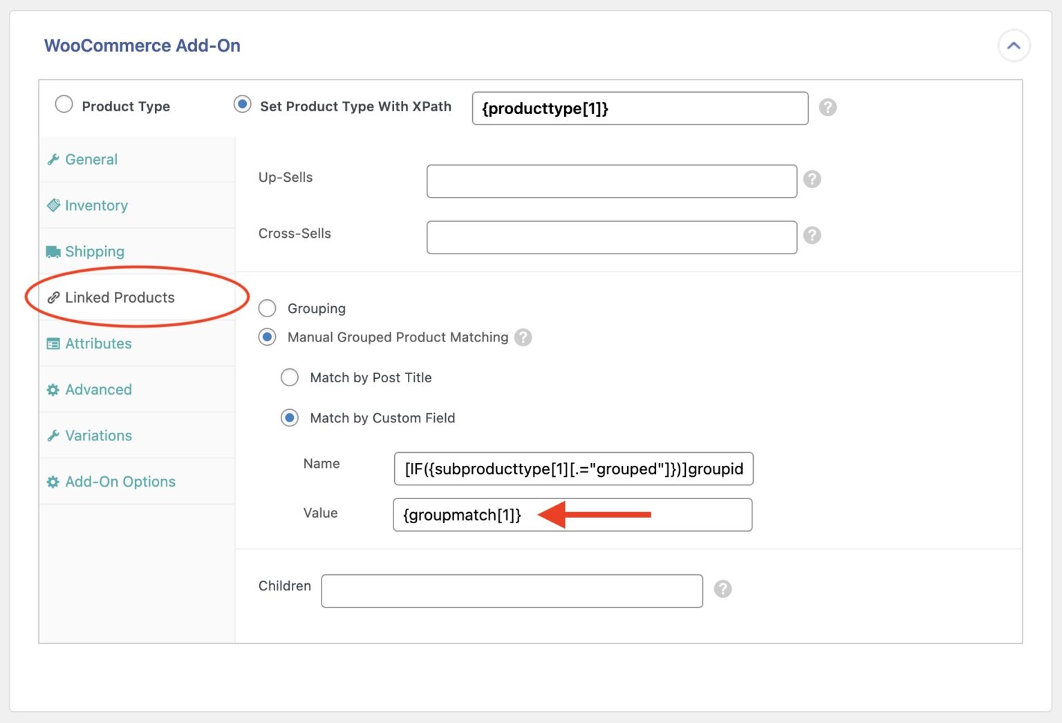 Example Code To Simplify Your Imports and Exports - WP All Import