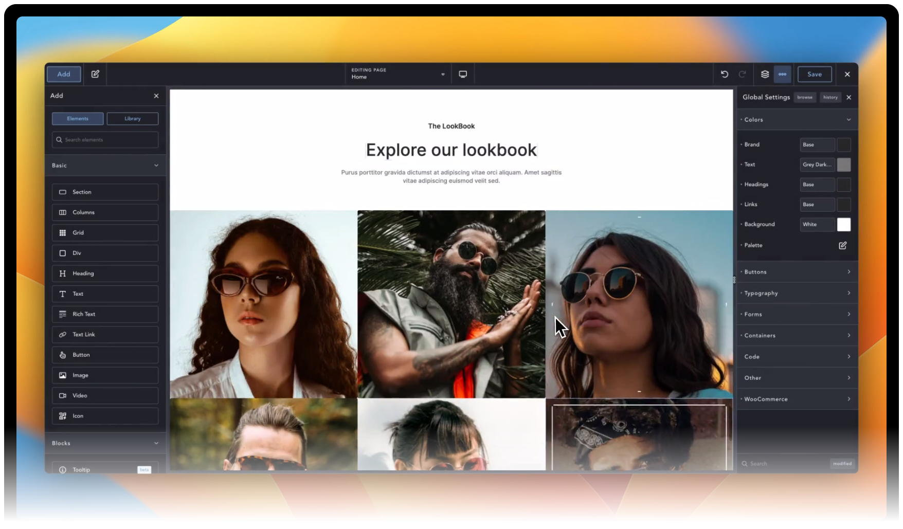 % Best WordPress Page Builders 2025