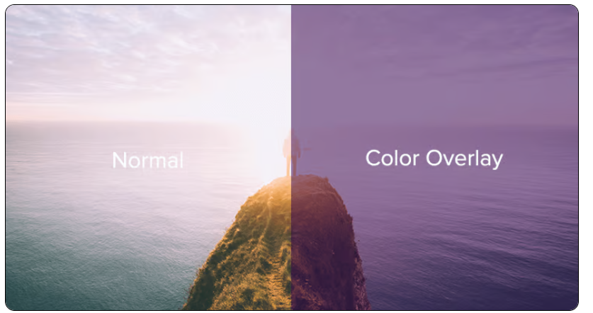 Elementor vs Avada: 5 Key Differences Revealed - WP All Import